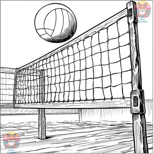 Spike Your Creativity: Dive into the Best Volleyball Coloring Pages ...